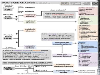 ACID BASE BALANCE.pptx