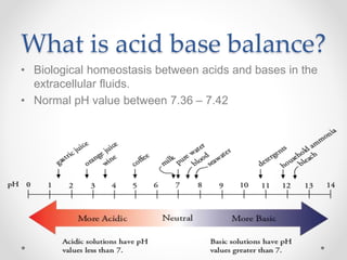 acid base balance .pptx