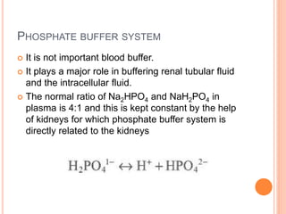 Acid Base Balance. An important topic in Physiologypptx | PPT