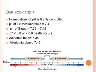 Acid Base Balance. An important topic in Physiologypptx | PPT