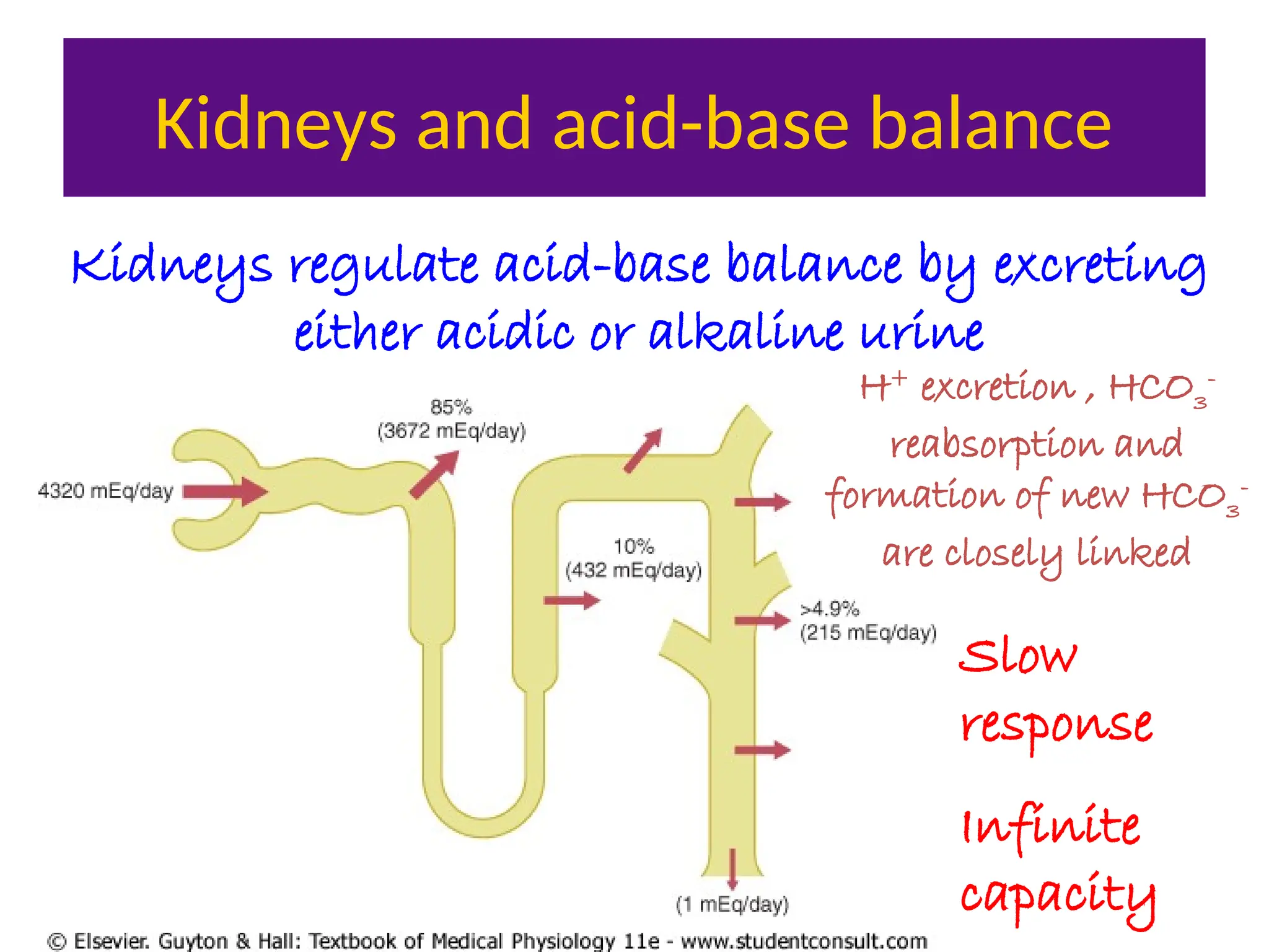 Acidbasebalance presensetation in surgery | PPT