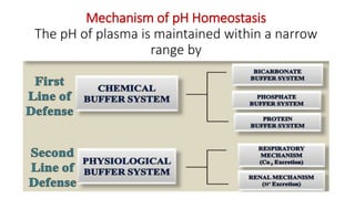 Lecture on topic of Acid Base Balance - Biochemistry | PPTX