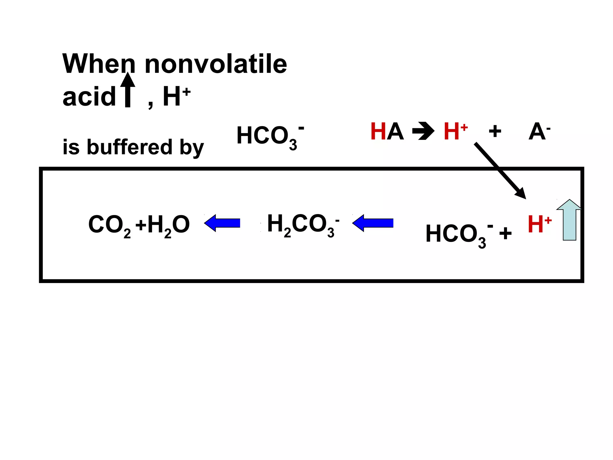 Acid Base Balance and Primary Disturbances - basic concepts | PPSX