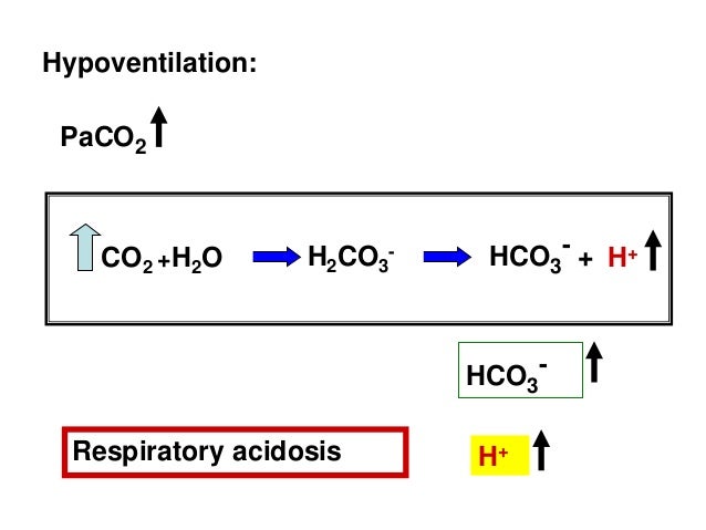 Acid Base Balance and Primary Disturbances - basic concepts