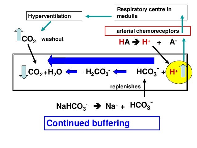Acid Base Balance and Primary Disturbances - basic concepts