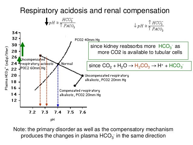 Acid Base Balance and Primary Disturbances - basic concepts