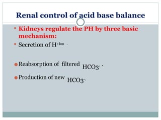 Acid base balance 2 | PPT