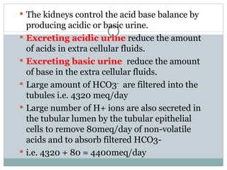 Acid base balance 2 | PPT