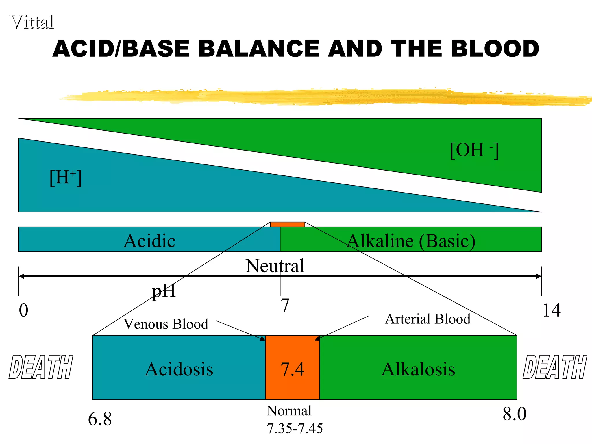 Acid-Base Balance : Basics | PPT