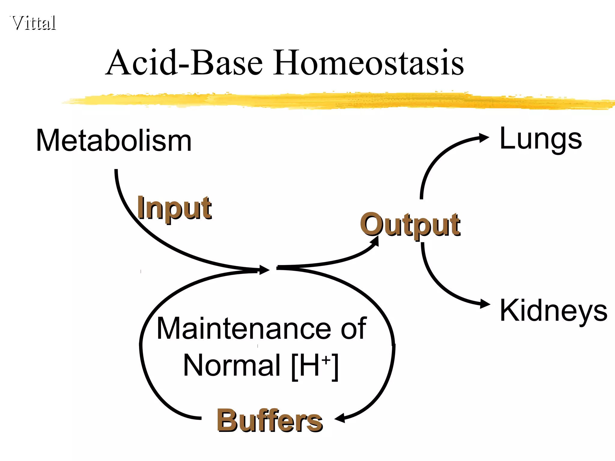 Acid-Base Balance : Basics | PPT