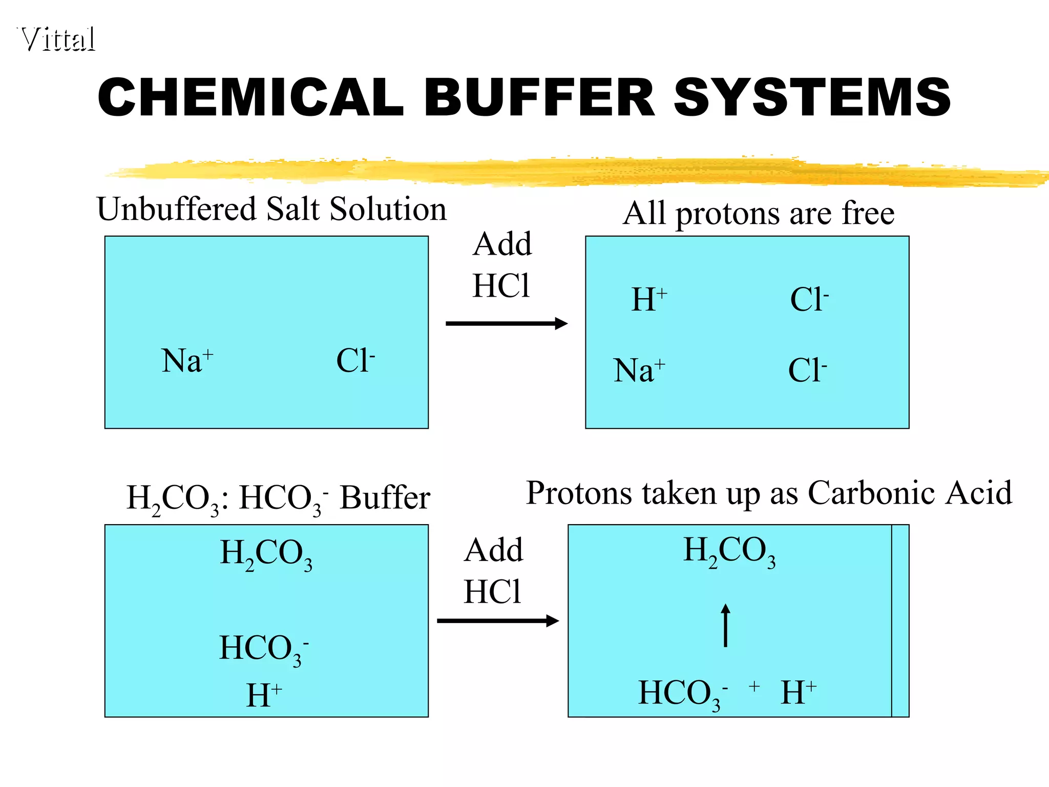 Acid-Base Balance : Basics | PPT