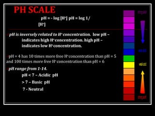 ACID BASE BALANCE BY DR. VENKATA.pptx