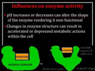 ACID BASE BALANCE BY DR. VENKATA.pptx