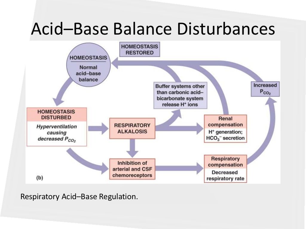 Acid Base Balance