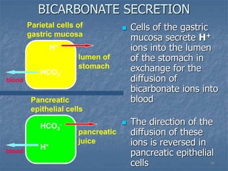 acid base balance (Fluid & ELectrolyte).ppt