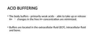Acid Base management of hemodynamics control of body | PPTX