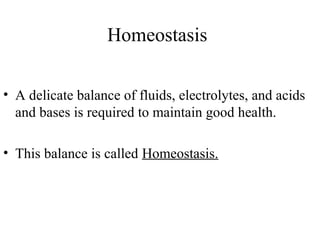 Acid Base Balance | PPT | Lung and Respiratory Health | Diseases and ...
