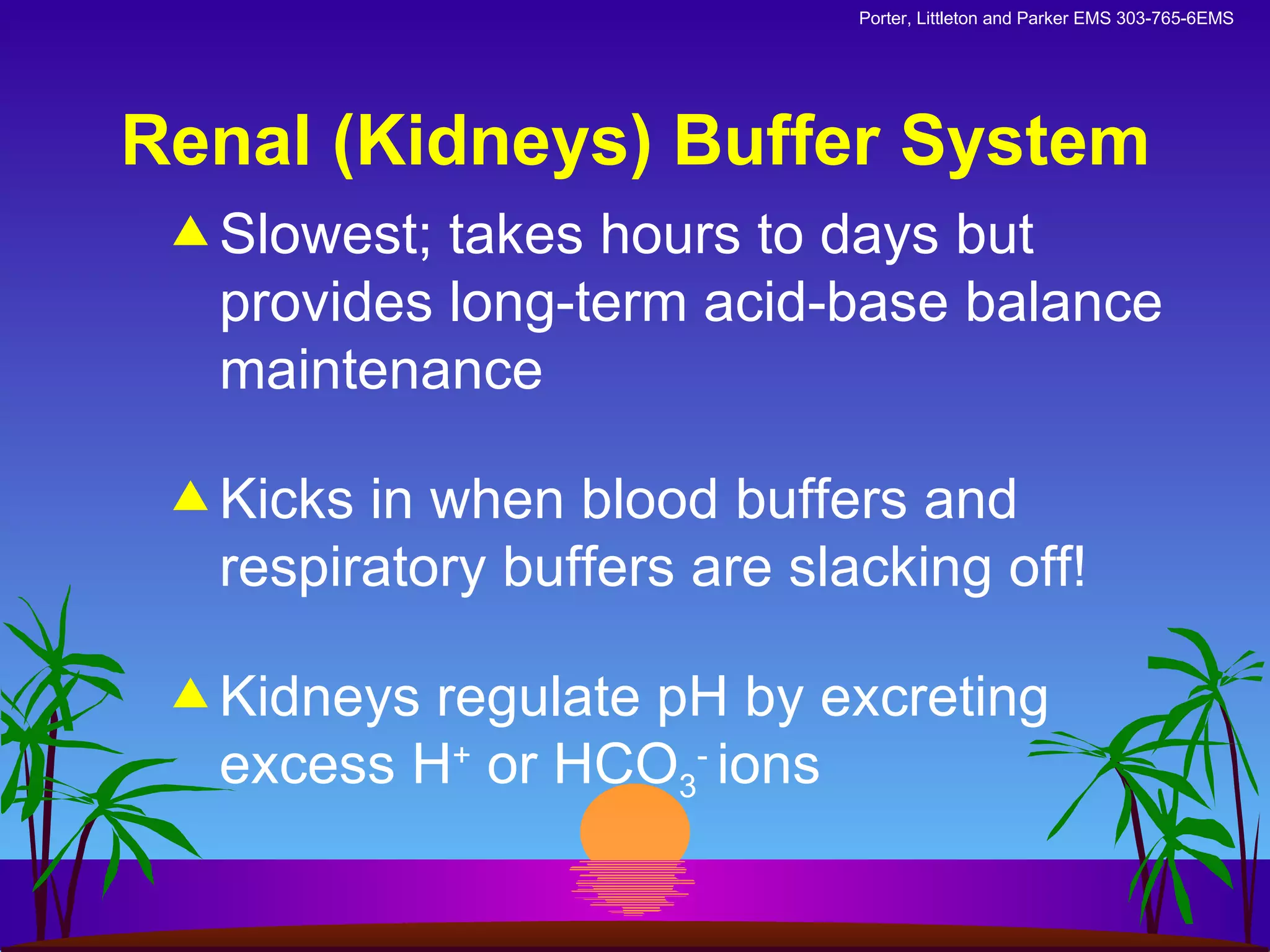 Acid Base Balance for EMS | PPT