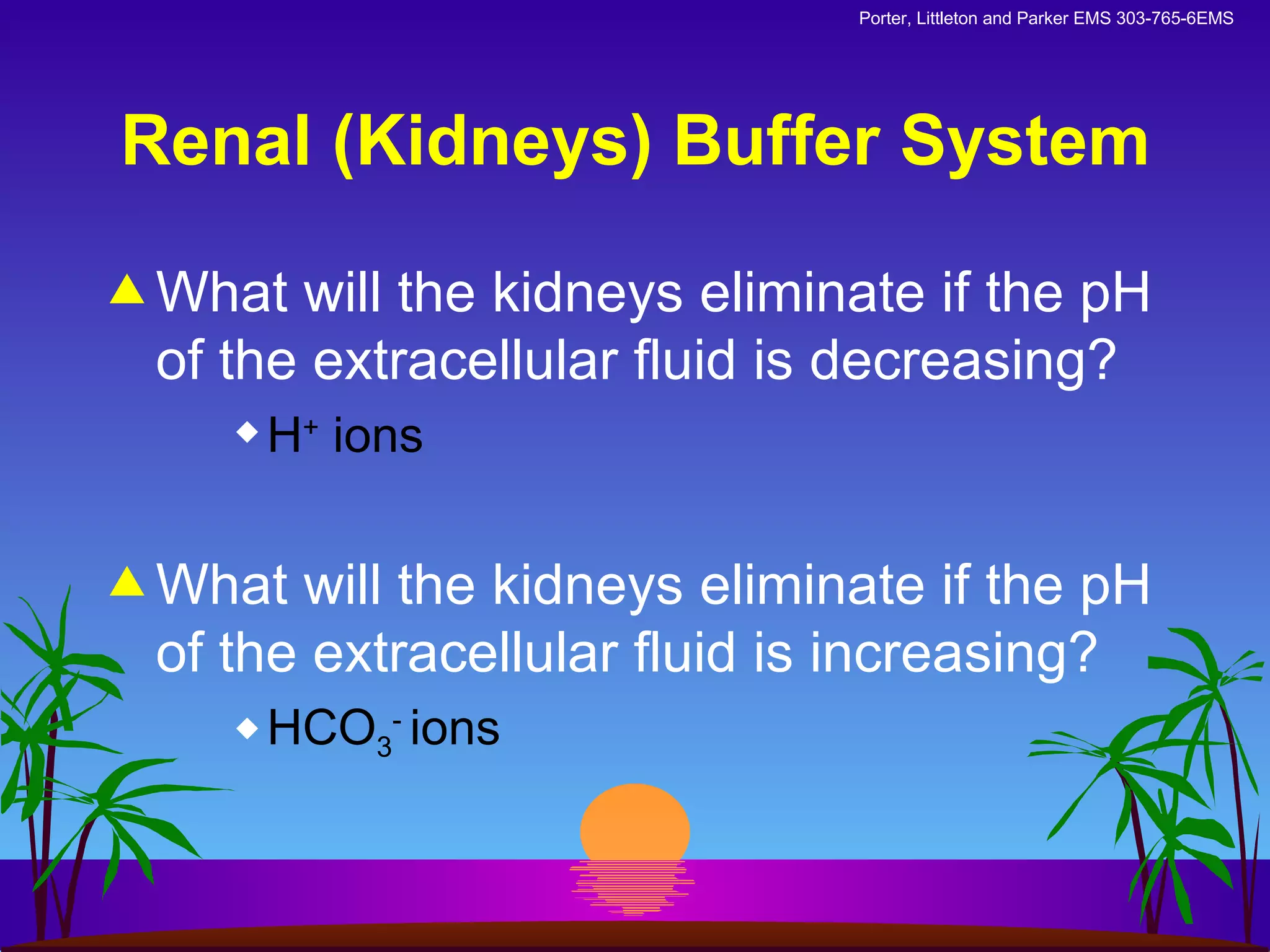 Acid Base Balance for EMS | PPT | Lung and Respiratory Health ...