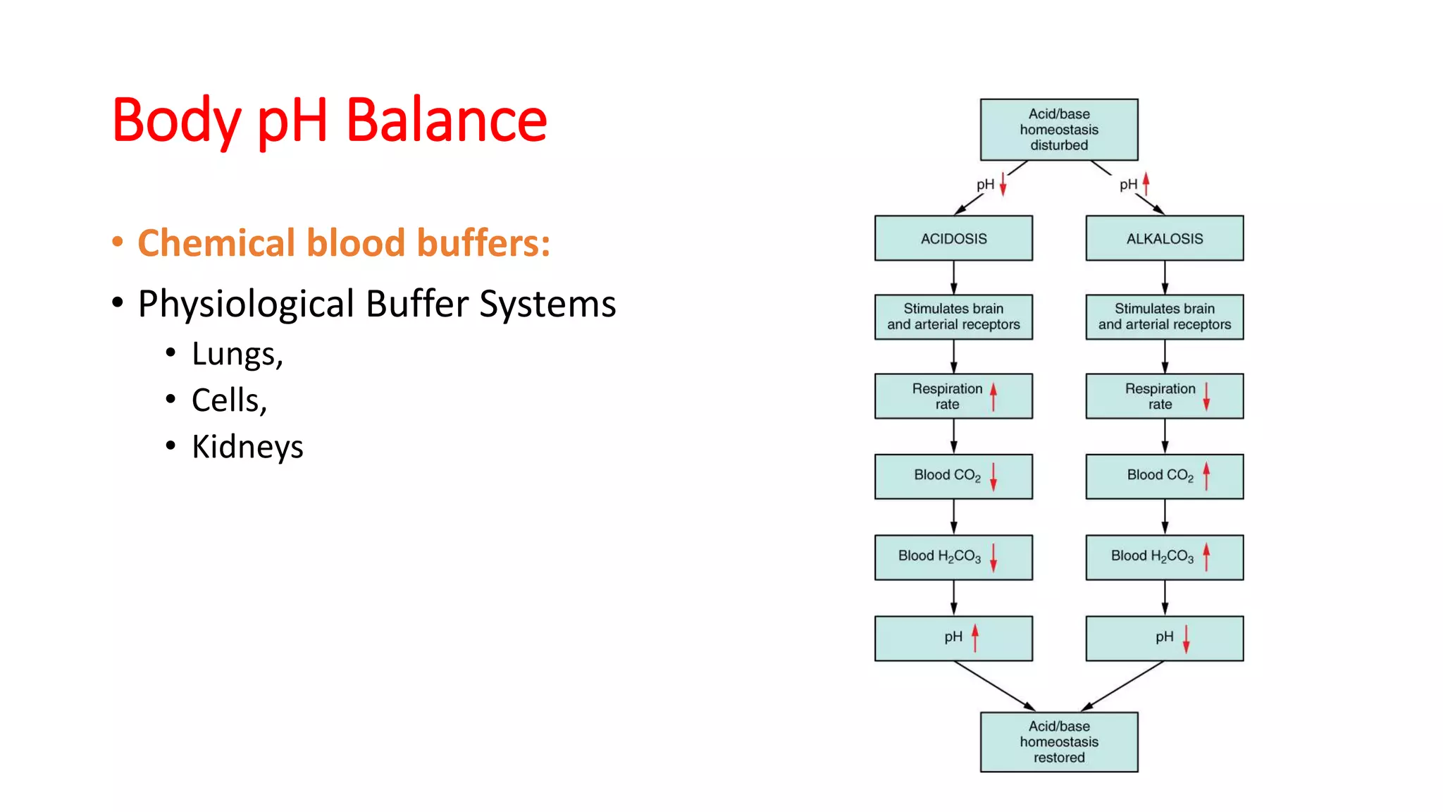 Acid base balance in surgery | PPTX