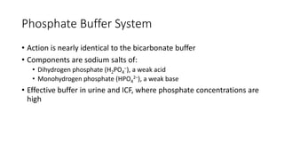 Acid base balance in surgery | PPTX