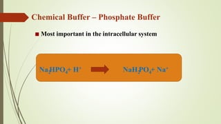 Acid base balance nimisha | PPTX