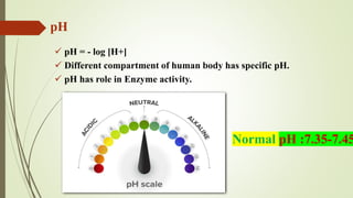 Acid base balance nimisha | PPTX