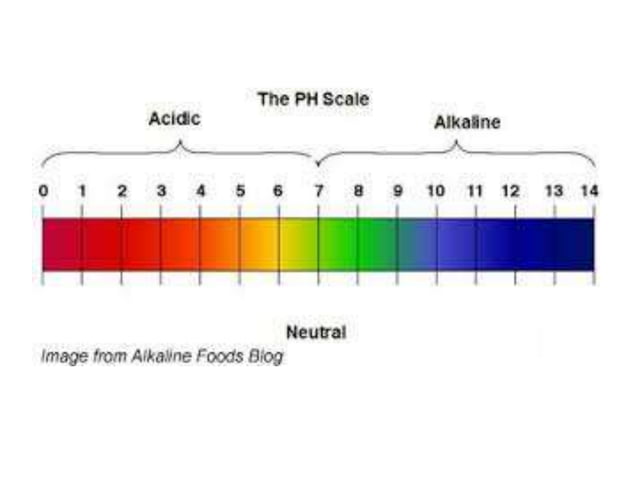 ACID BASE BALANCE presentation.......... | PPT
