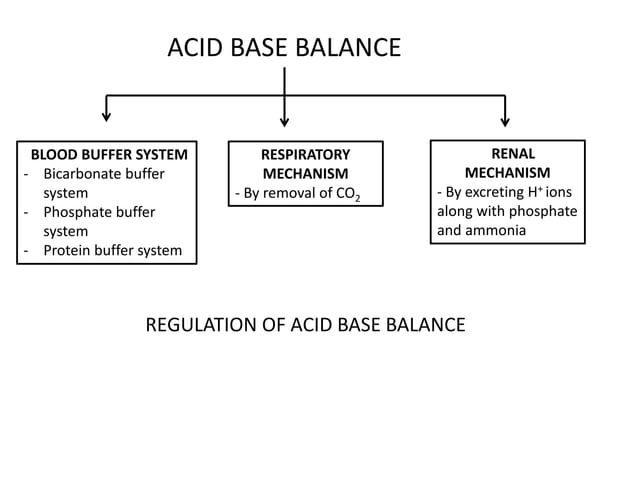 ACID BASE BALANCE presentation.......... | PPT