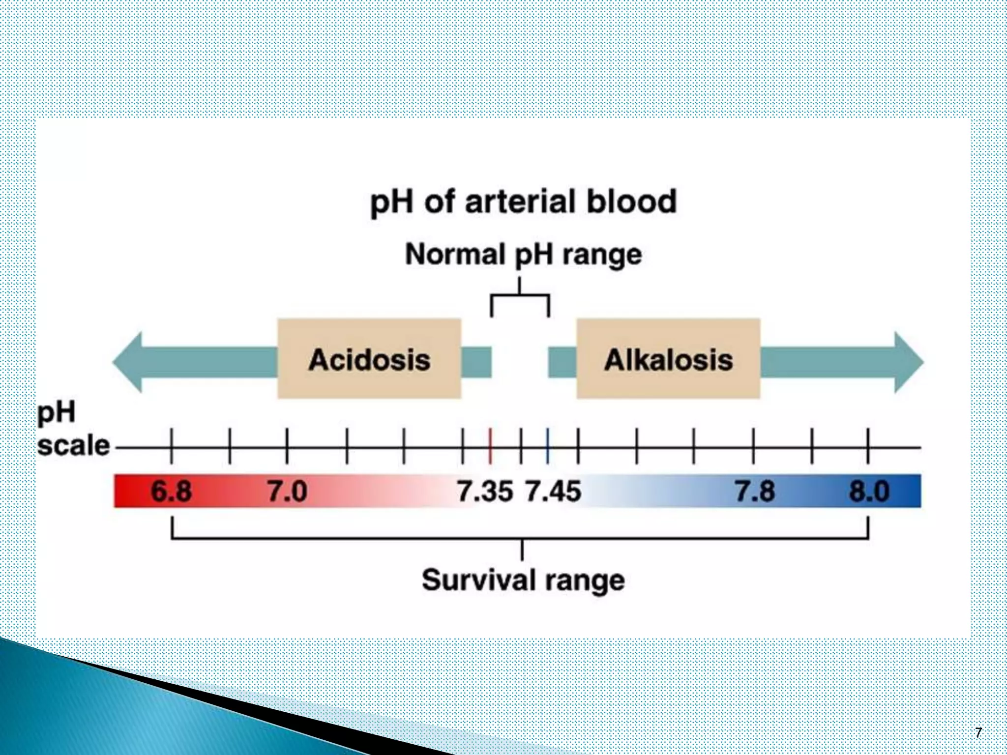 Acid base balance simplified | PPTX