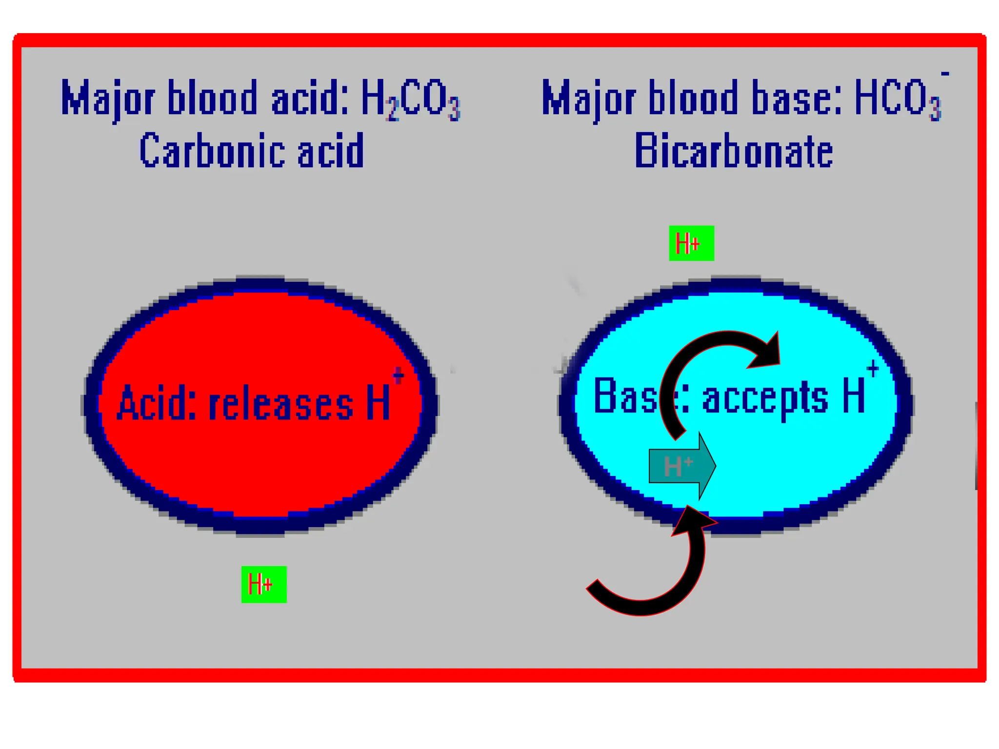 Acid base balance slides-biochemistry.ppt