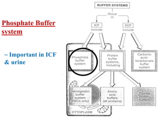 Acid base balance slides-biochemistry.ppt