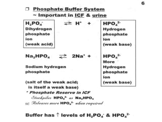 Acid base balance slides-biochemistry.ppt