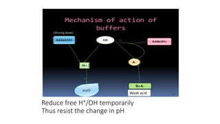 Acid Base pH Buffer | PPTX