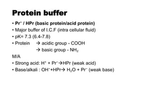 Acid Base pH Buffer | PPTX