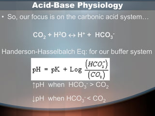 Acid Base Disorders | PDF