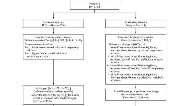 Acid Base disorder Concept.pptx