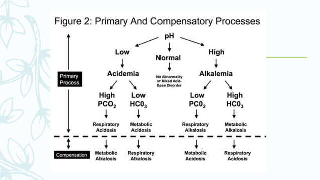 Acid base disorders | PPT