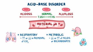 Acid Base Homeostasis and Disorders.pptx