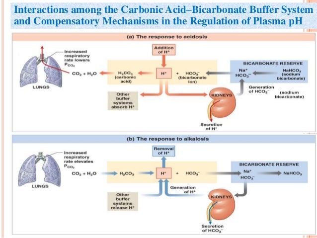 Acid base disorders stmu