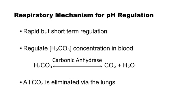 Acid base homeostasis | PPTX | Lung and Respiratory Health | Diseases ...