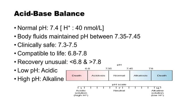 Acid base homeostasis | PPTX | Lung and Respiratory Health | Diseases ...