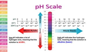 Acid–Base Homeostasis and Imbalances ss2ffffffffffff.pptx