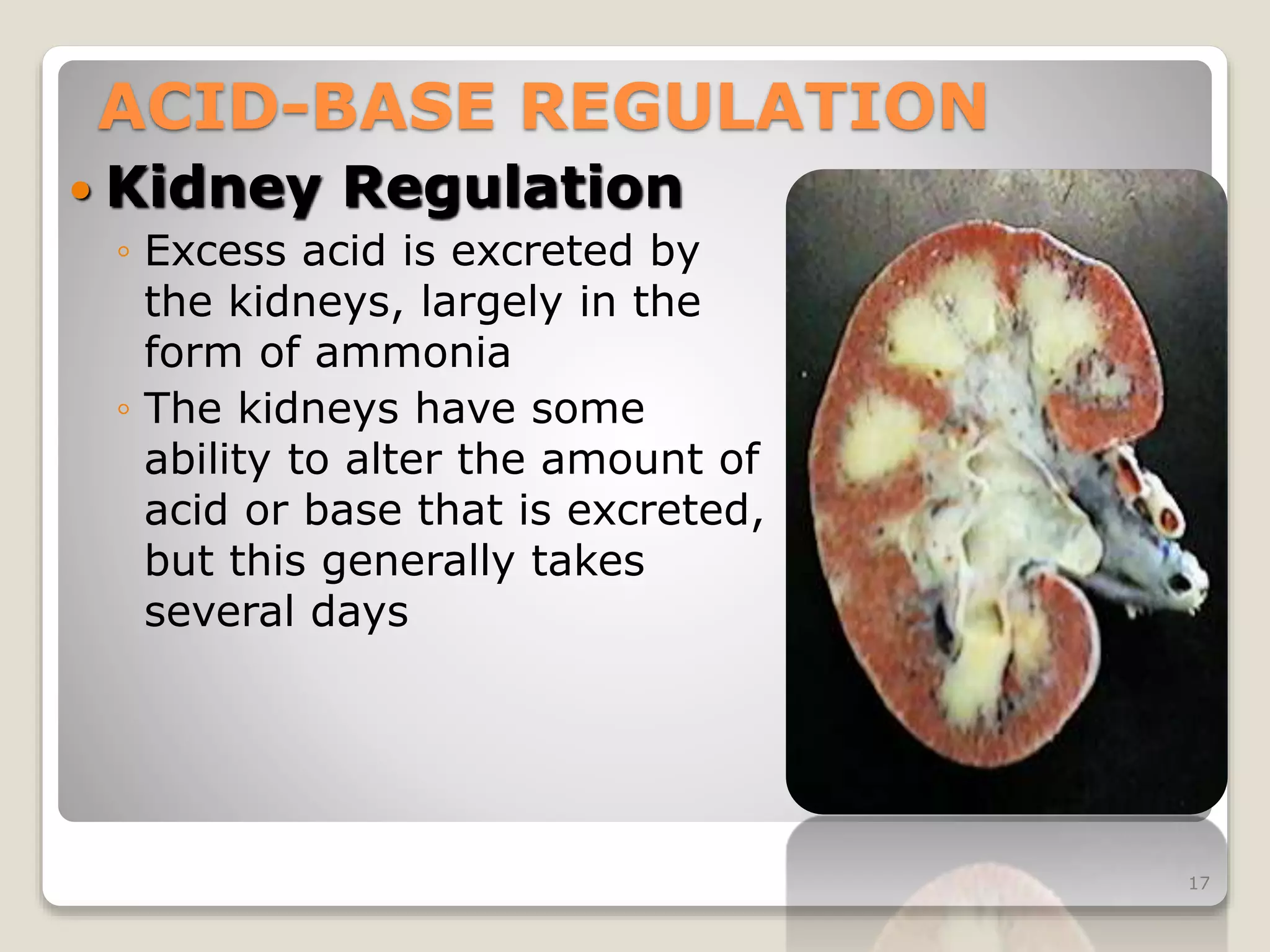 Acid base balance | PPTX | Lung and Respiratory Health | Diseases and ...
