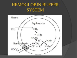 Acid base imbalance | PPTX