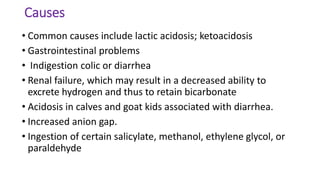 Acid Base Imbalance.pptx