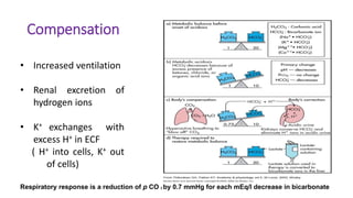 Acid Base Imbalance.pptx
