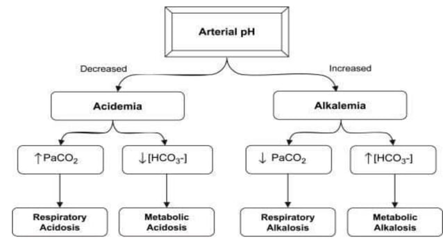 Acid base imbalance PPT for nurses. | PPTX | Lung and Respiratory ...