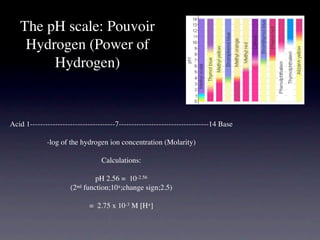 Acids, Bases, Buffers, Electrolytes, & pH | PPT