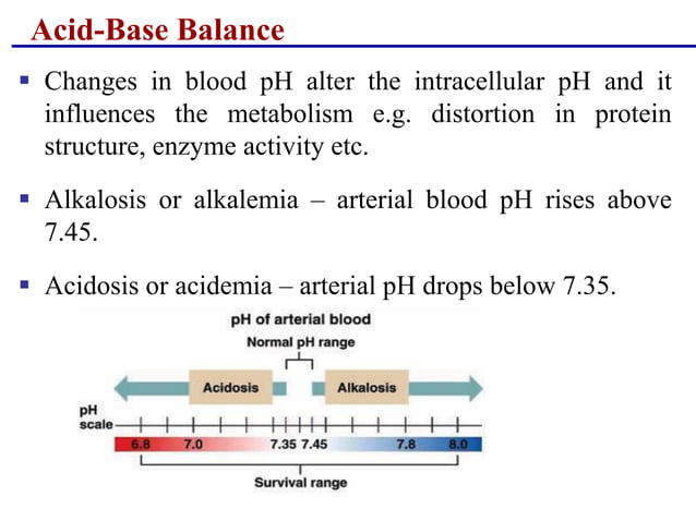Acid base lecture | PPT